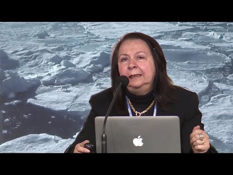 The Arctic Crisis