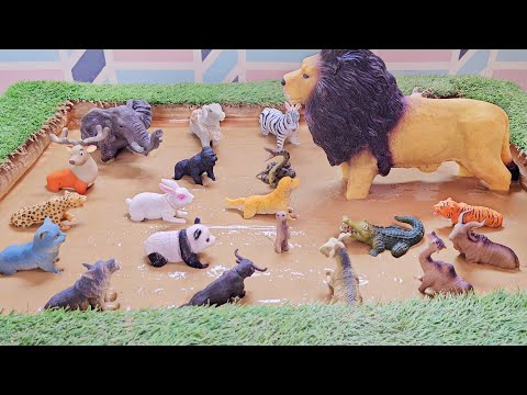 Discover the SHOCKING Truth About Wild Animals and Crepuscular Animals!