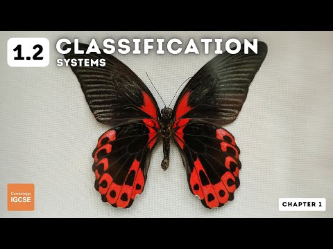Concept and Uses of Classification Systems - 1 Video Lecture - Biology ...