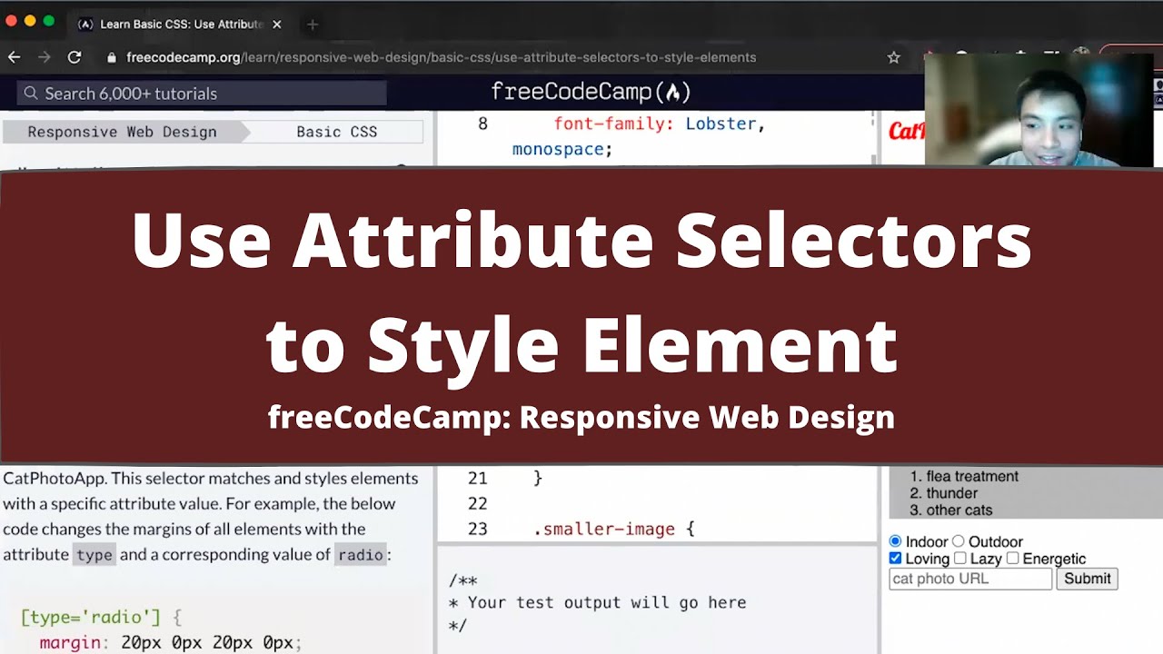 Use Attribute Selectors to Style Elements (Basic CSS) freeCodeCamp tutorial