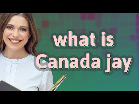 Canada jay | meaning of Canada jay