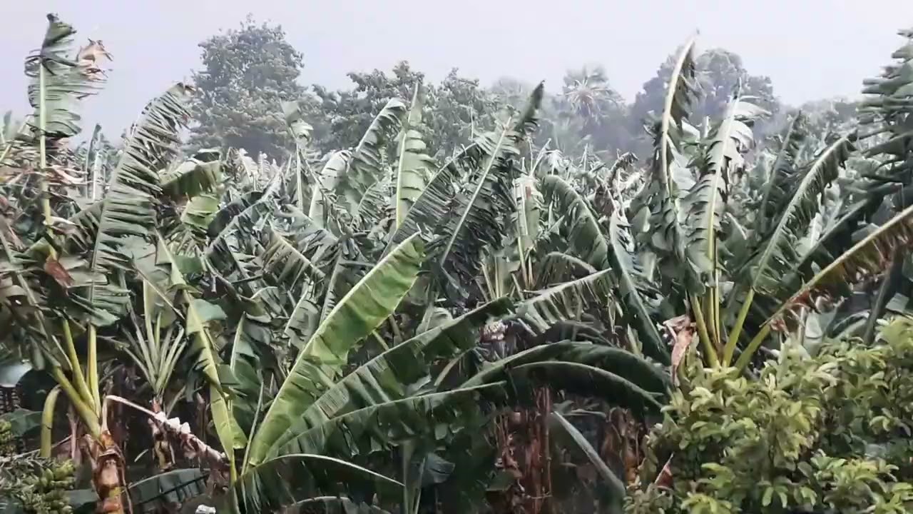 Unit 3.2 Weather & Hazards - OpenSciEd