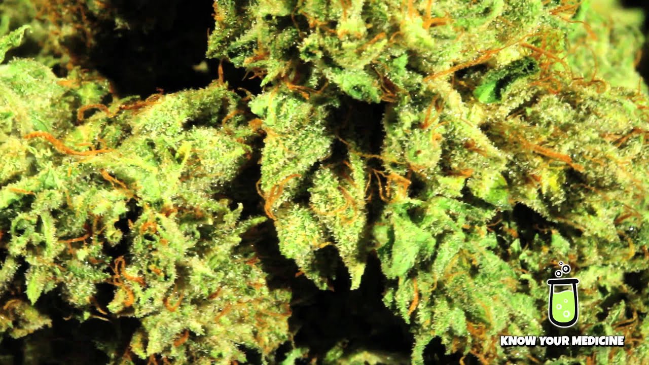 Cannabinoid Profile: THC