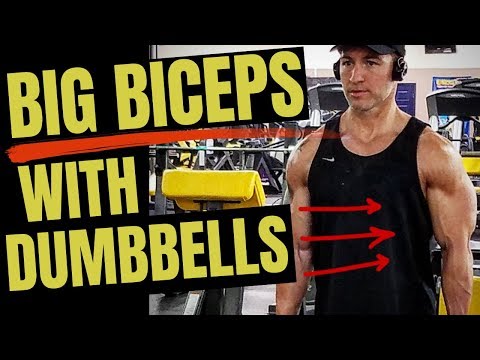 How To Get Big Biceps With Dumbbells (4 Exercises At Home!)