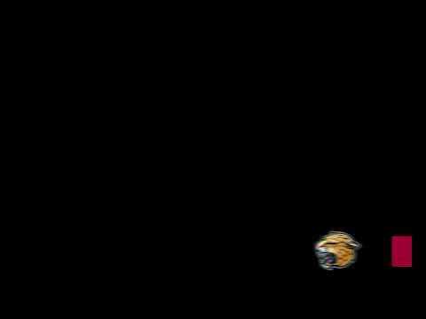 Lower Third - IUPUI Athletics