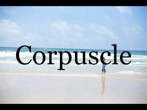 How To Pronounce Corpuscle🌈🌈🌈🌈🌈🌈Pronunciation Of Corpuscle