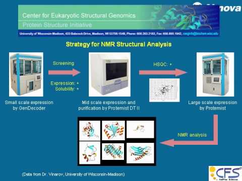 Wheat Germ Cell-Free Protein Synthesis - Lecture Series 5