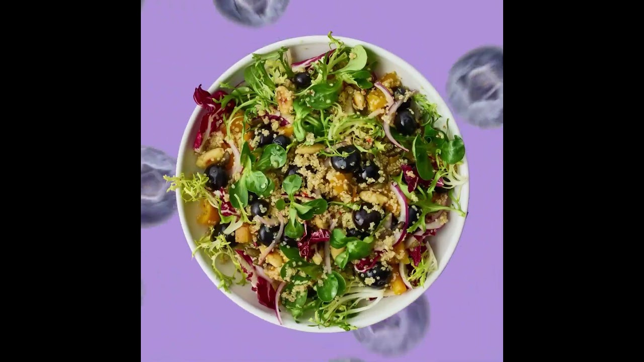 Blueberry Recipe Collection