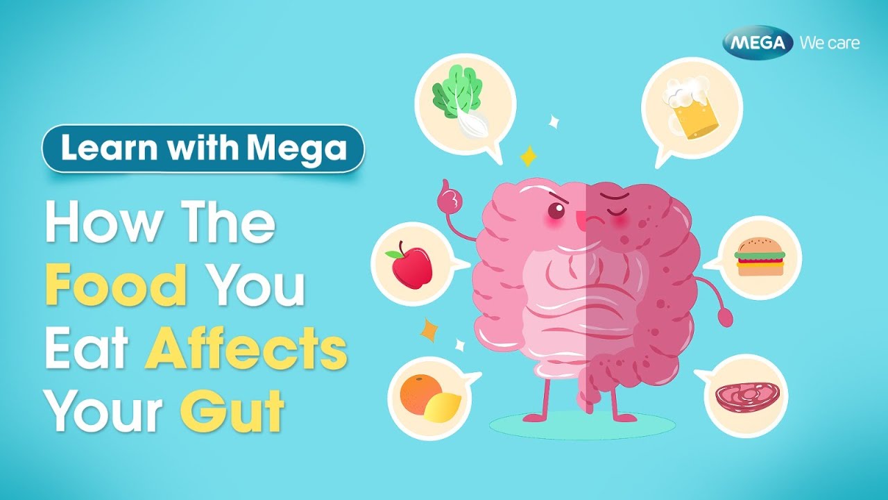 How the Food You Eat Affects Your Gut Health | Mega We Care