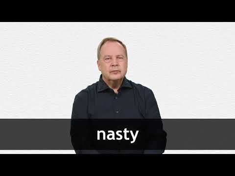 NASTY 释义 | 柯林斯英语词典