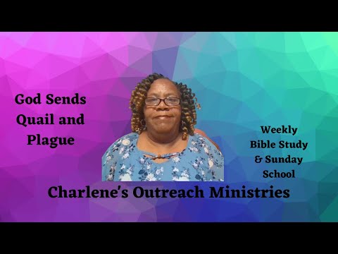 God Sends Quail and Plague. Numbers 11:24-35 . Sunday's, Sunday School Bible Study.