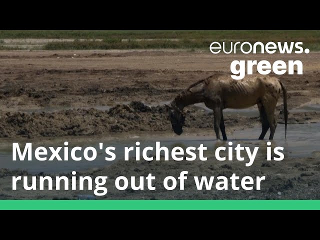 A water crisis in Monterrey, Mexico: Causes, Consequences, and Solutions