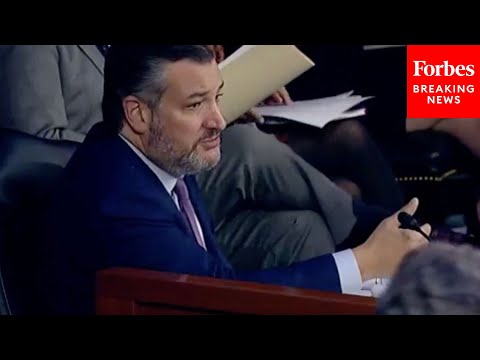 Ted Cruz: How To Take On Big Tech Monopolies