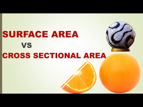 3.Surface area and Cross-Sectional Area in Urdu/Hindi