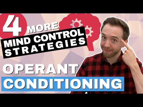 Operant Conditioning Examples (Psychology Learning Theory) (BF Skinner)