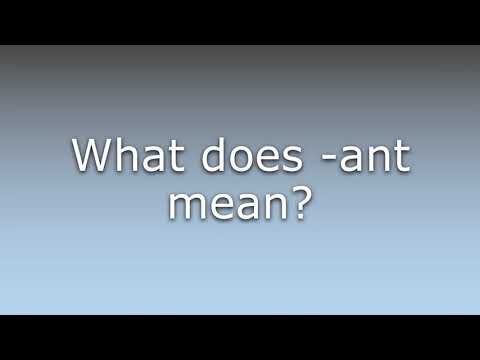 What does -ant mean?