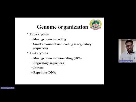 Lec 11 -ABT 301 - Genome organization Prokaryotes vs Eukaryotes.