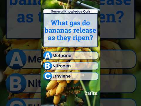 General Knowledge Quiz β Art, Time & Bananas