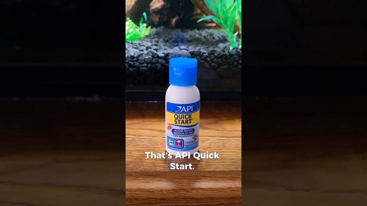 API Quick Start is NOT what you think it is!