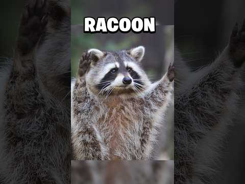 ANIMALS THAT ARE SCARY AT NIGHT… 😰🐷
