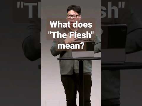 What does "the Flesh" mean in the New Testament (Pauline) epistles?