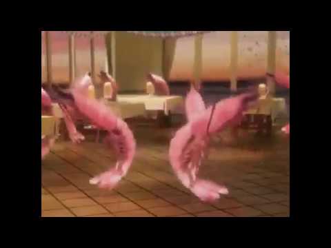 My definition of techno-house is a shrimp