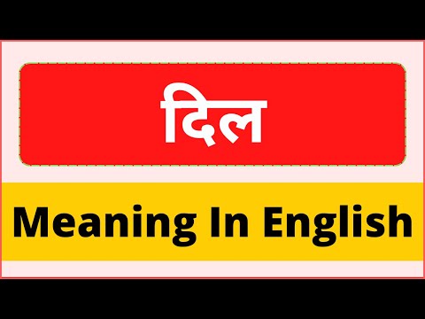 Dil ko english main kya kehte hai | Dil meaning in english | दिल को इंग्लिश में क्या कहते है