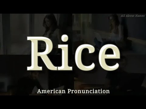 Rice: American Pronunciation, Meaning, and Usage in Sentences