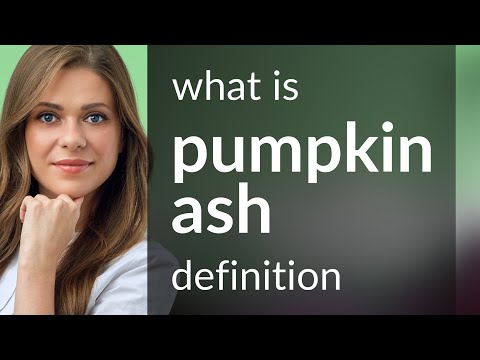 Pumpkin ash | what is PUMPKIN ASH definition