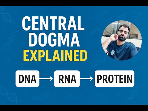 Central Dogma of Molecular Biology