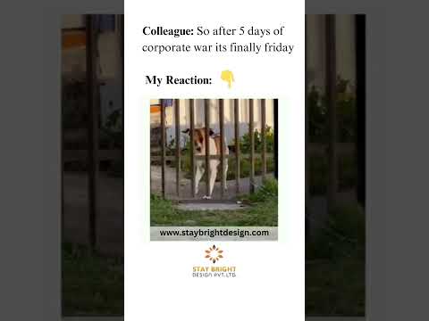 Friday Memes | Corporate Zindagi | Stay Bright Design