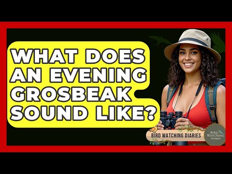 What Does An Evening Grosbeak Sound Like? - Bird Watching Diaries
