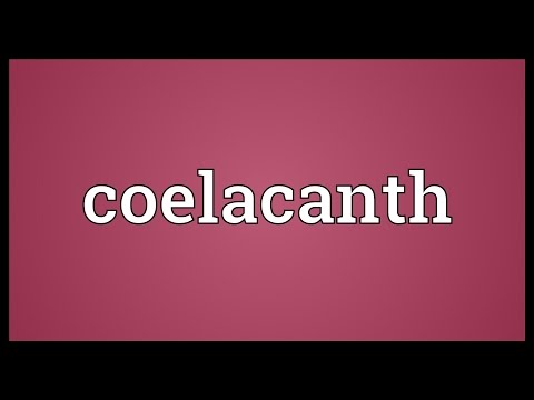 Coelacanth Meaning