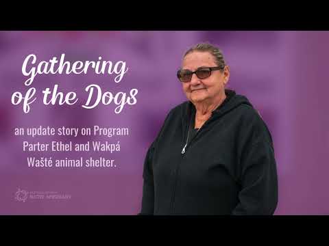 Gathering of the Dogs - a PWNA Animal Welfare Update 2024