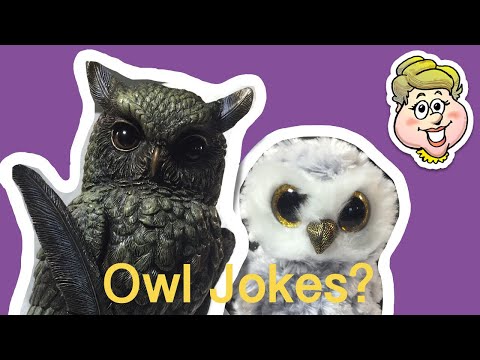 Jokes With Owls! (Ida) EWMJ #695