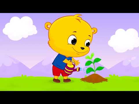 Needs of plant rhymes with lyrics | A Plants needs five things | Plants song