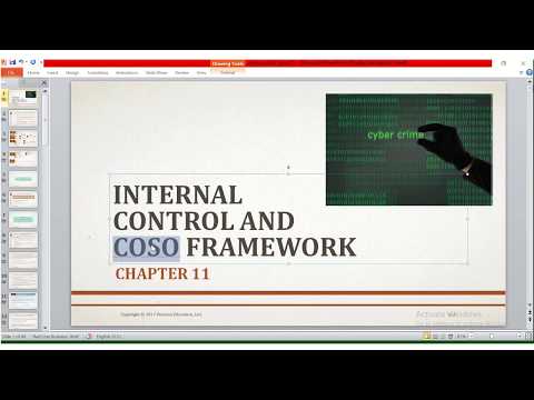 Overview Chapter 11 - Internal Control & COSO framework