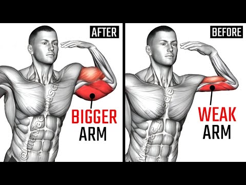 8 Best Biceps and Triceps Exercises for Bigger Arms AT GYM