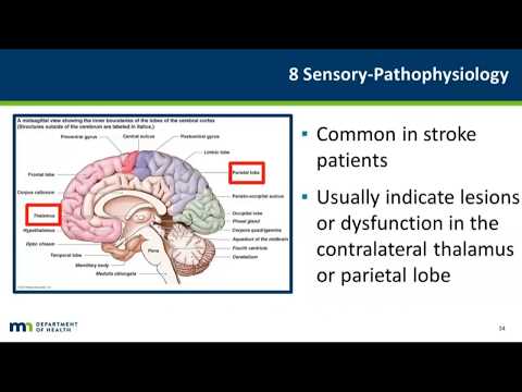 Monthly Stroke Webinar: NIHSS Review (November 2019)