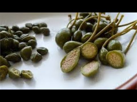 Harvesting the Wild and Exotic Capers