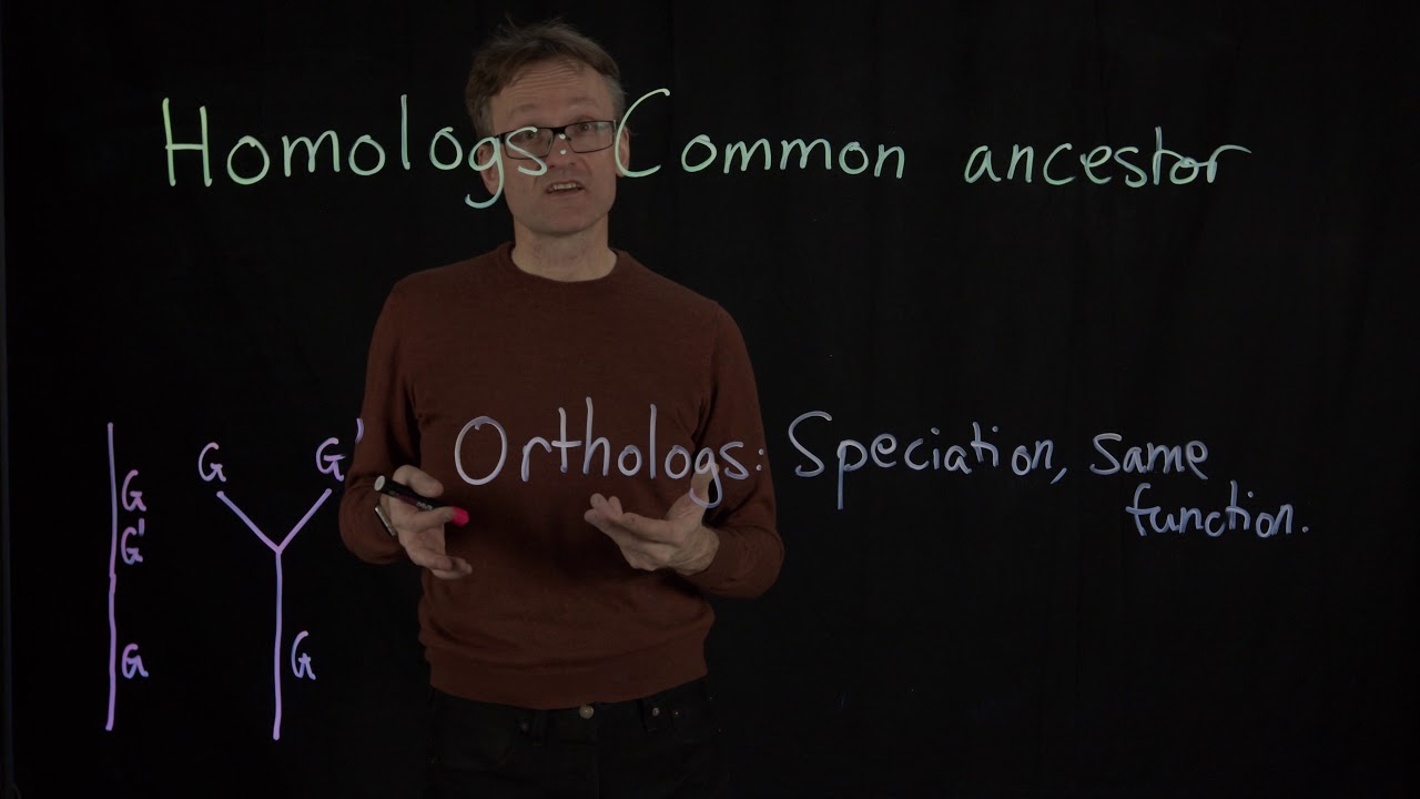 Lecture 11, concept 10: Homologs, orthologs & paralogs