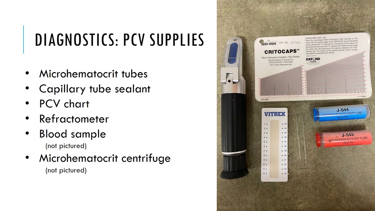 Laboratory Training powerpoint 2020