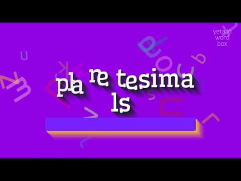 PLANETESIMALS - How to say Planetesimals?