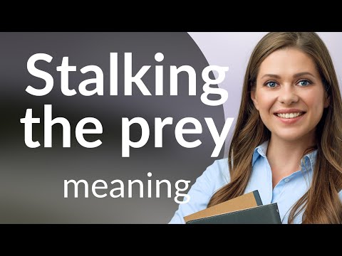 Understanding the Phrase "Stalking the Prey": A Guide for English Learners