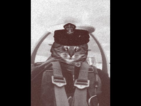 Steam Community :: Video :: VTOL VR - F26/A - Live Stream 10/07/20 ...