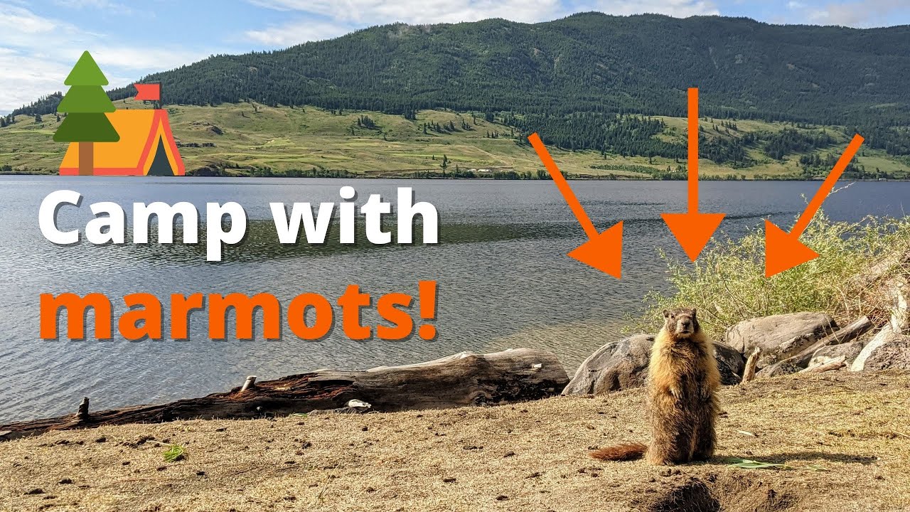 Monck Provincial Park | Home A Roam