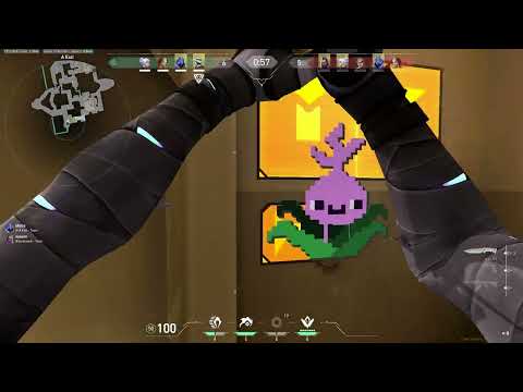 Steam Community :: Video :: funny monkey val game