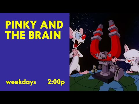 CNTwo - CN Pastel: "Pinky and The Brain" fan-made promo