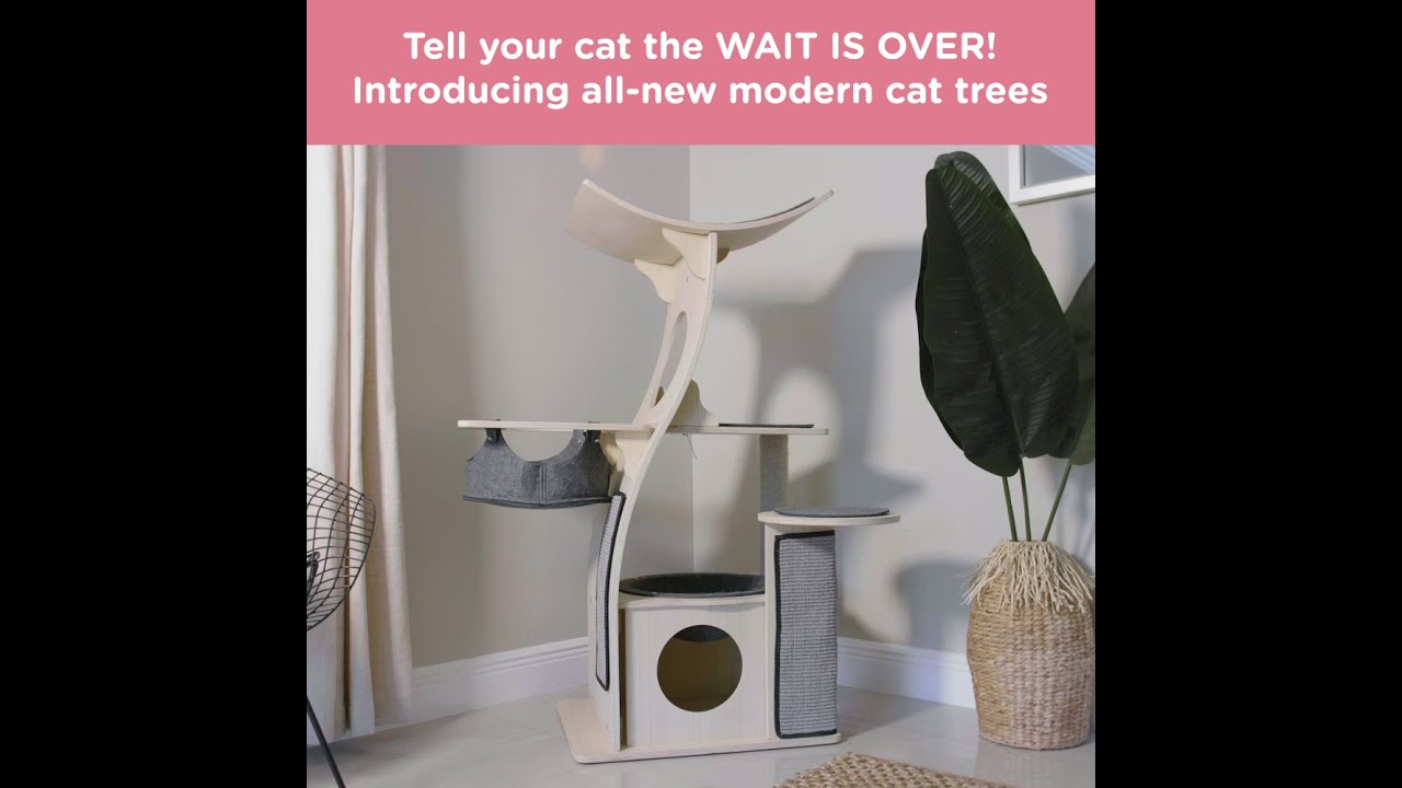 All New Modern Wood Cat Trees