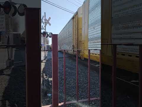 NS Train #11N Coming in HOT Elephant Style!!! Hold onto your hats! #shorts